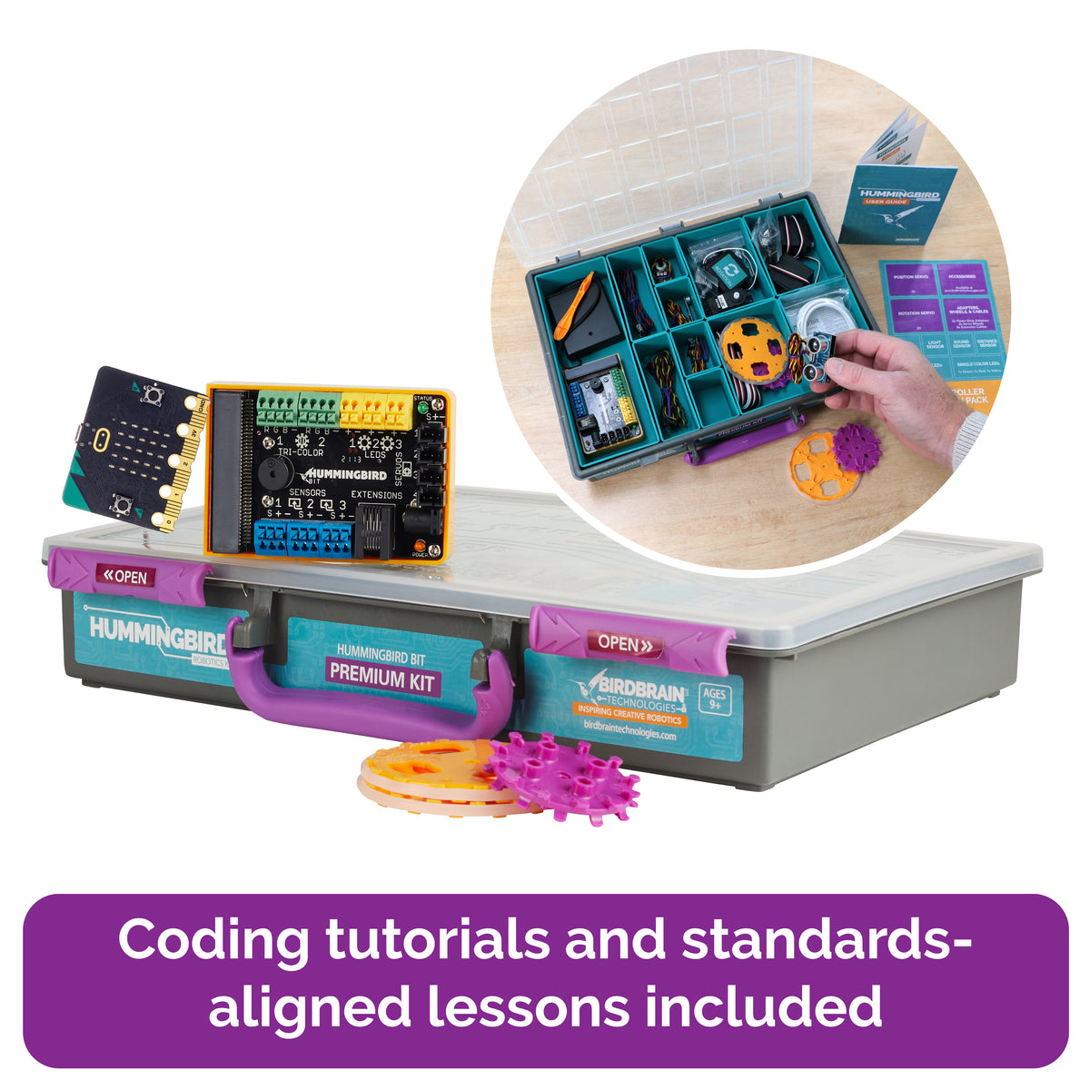 Hummingbird Classroom Solution – BirdBrain Technologies